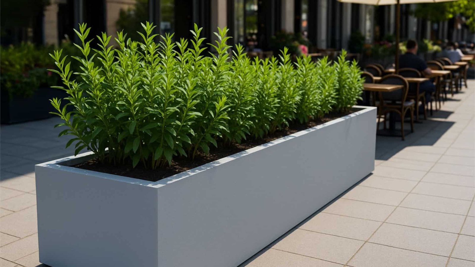 Xxl Pflanzkubel Fiberglas
